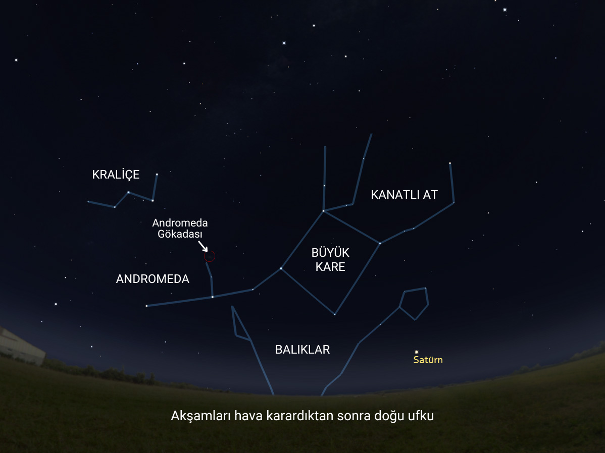 KANATLI AT - 1 - Sarkaç